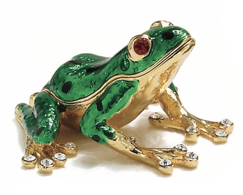 Green Tree Frog Box | Carol & Company