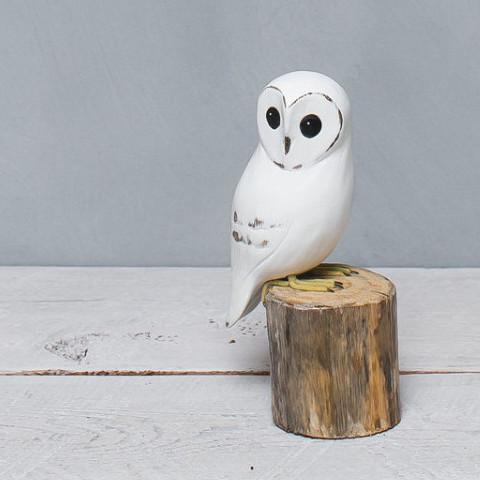Baby Barn Owl | Carol & Company